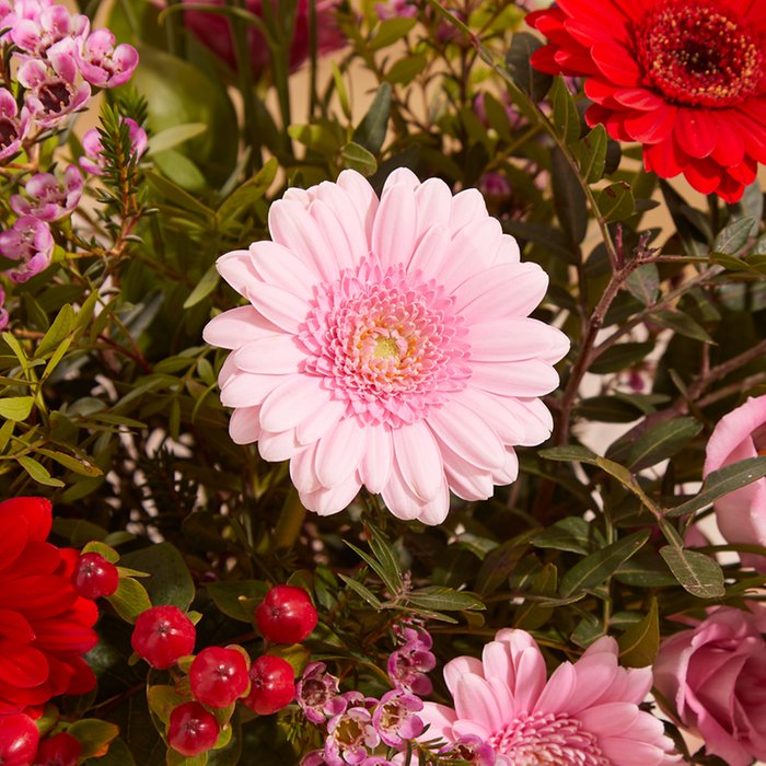 The Ruby Gift Set | Moonpig