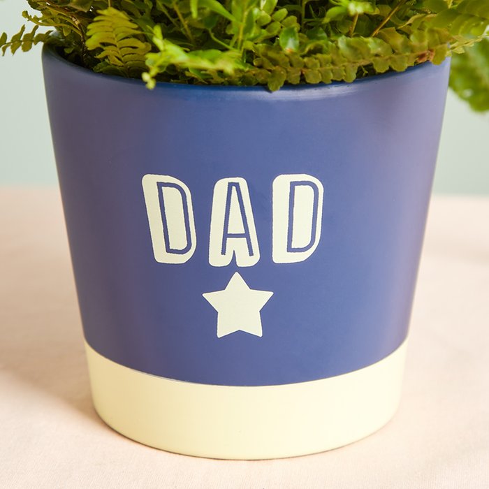 Boston Fern in Dad Pot | Moonpig