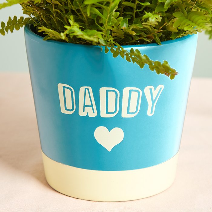 Boston Fern in Daddy Pot | Moonpig