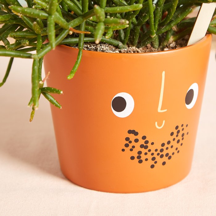 Rhipsalis Baccifera & Cheeky Chap Pot | Moonpig