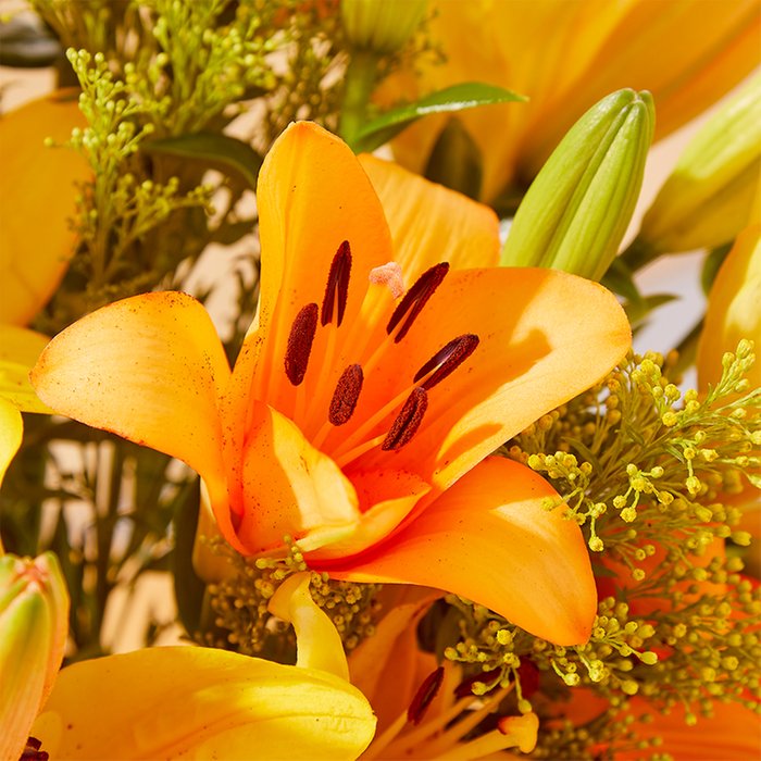 The British Grown Mixed Lilies | Moonpig