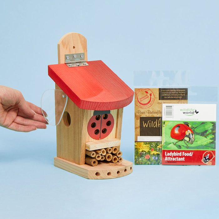 Kids' Ladybird House Gift Set | Moonpig