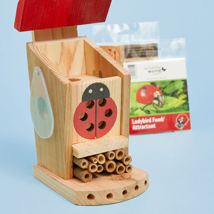 Kids' Ladybird House Gift Set | Moonpig