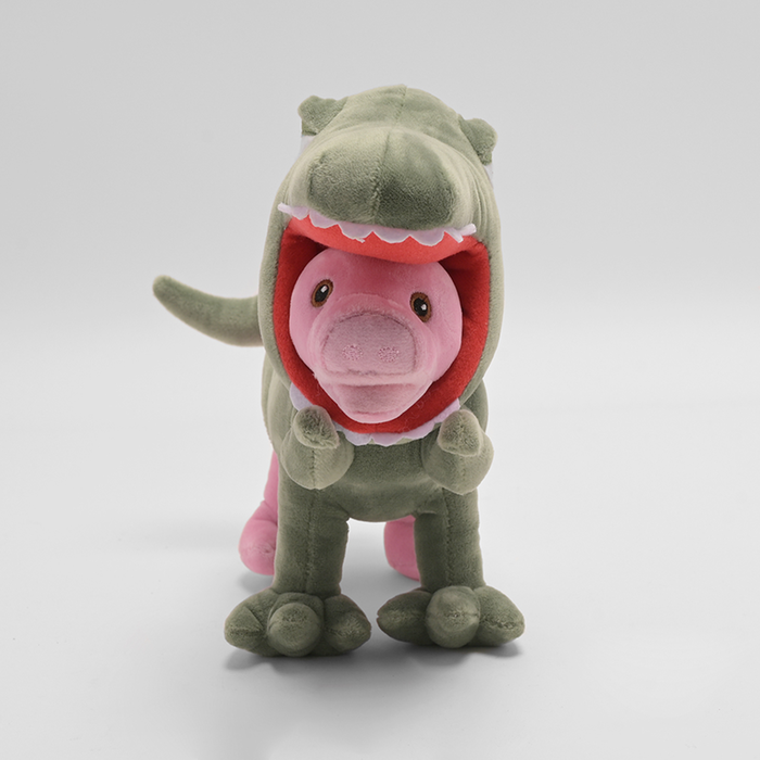 Dinosaur Moonpig | Moonpig