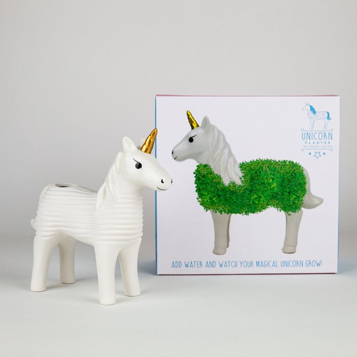 Unicorn Chia Pet | Moonpig