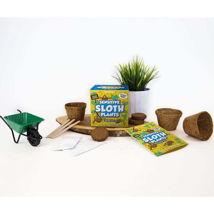 Sensitive Sloths Grow Your Own Plant Kit | Moonpig