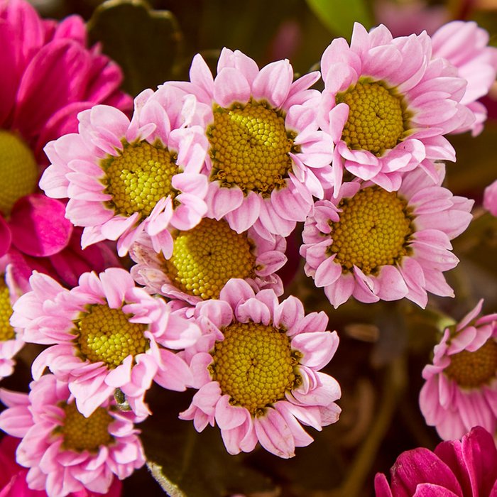 The Glorious | Moonpig