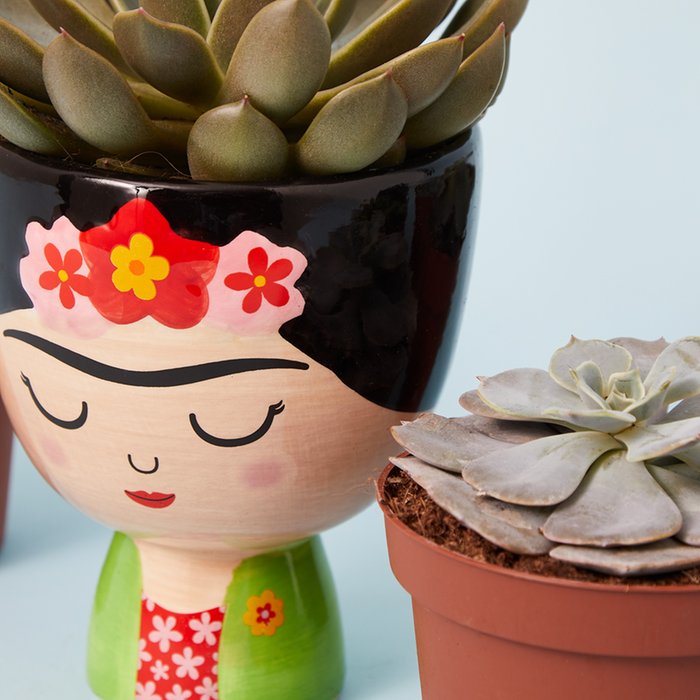Echeveria Succulent & Frida Kahlo Planter | Moonpig