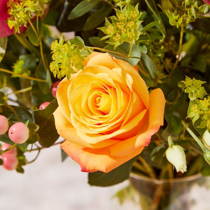 The Coronation | Moonpig