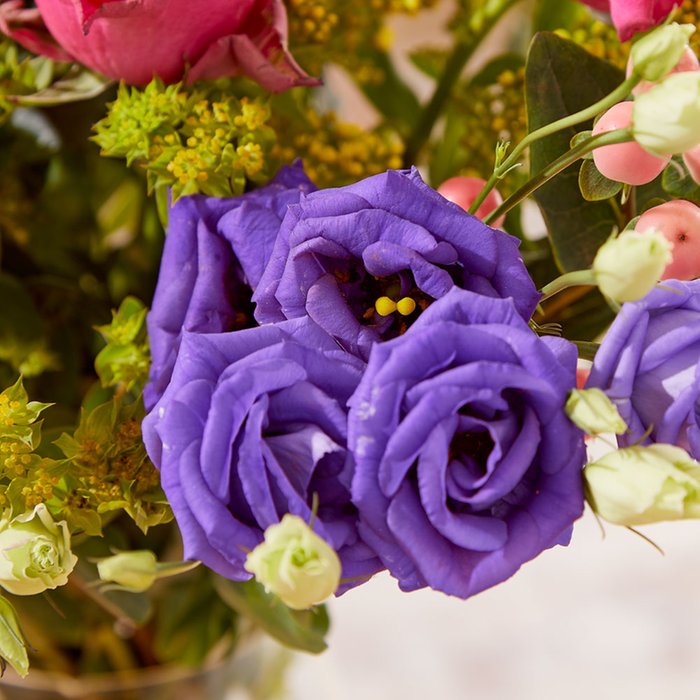 The Coronation | Moonpig