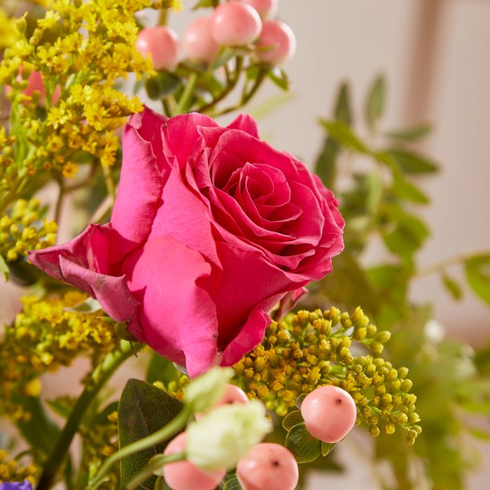 The Coronation | Moonpig