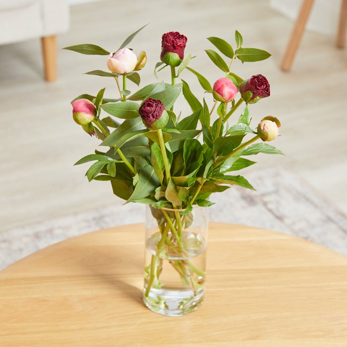 Arrange At Home - Mixed Peonies | Moonpig