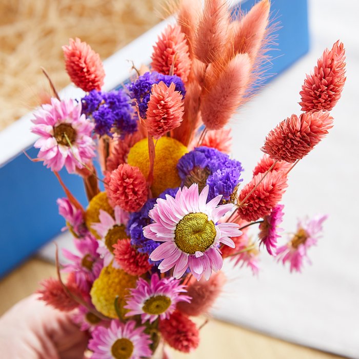 The Mini Dried Spring Sensation | Moonpig