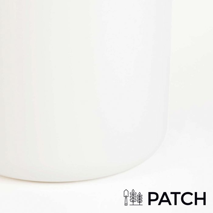 Patch ‘Chaz the Swiss Cheese Plant’ With Pot | Moonpig