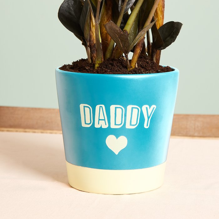 Black Raven ZZ in 'Daddy' Pot | Moonpig