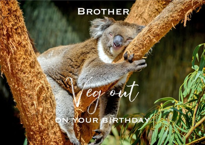 Harmonia Koala Chillin Traditional Brother Birthday Australia Card ...