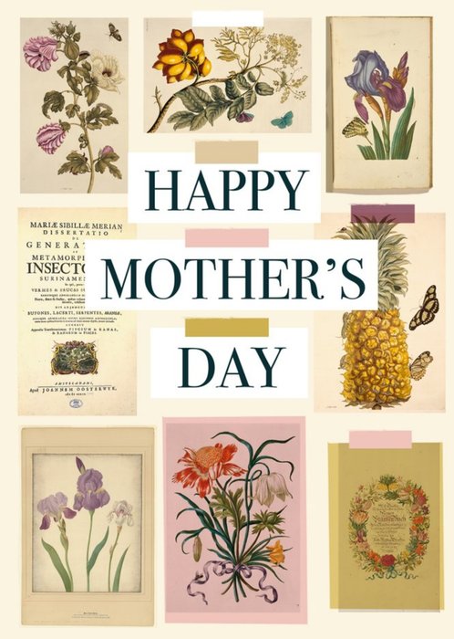 Natural History Museum Collaged Floral Mother's Day Card | Moonpig