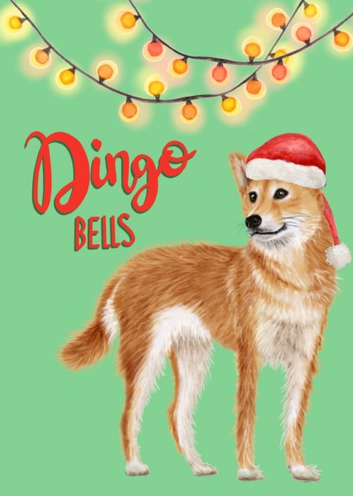 Citrus Bunn Illustration Funny Fairy Lights Dingo Christmas Australia ...