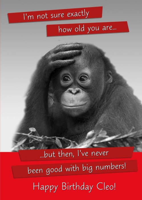 Monkey Birthday Card | Moonpig