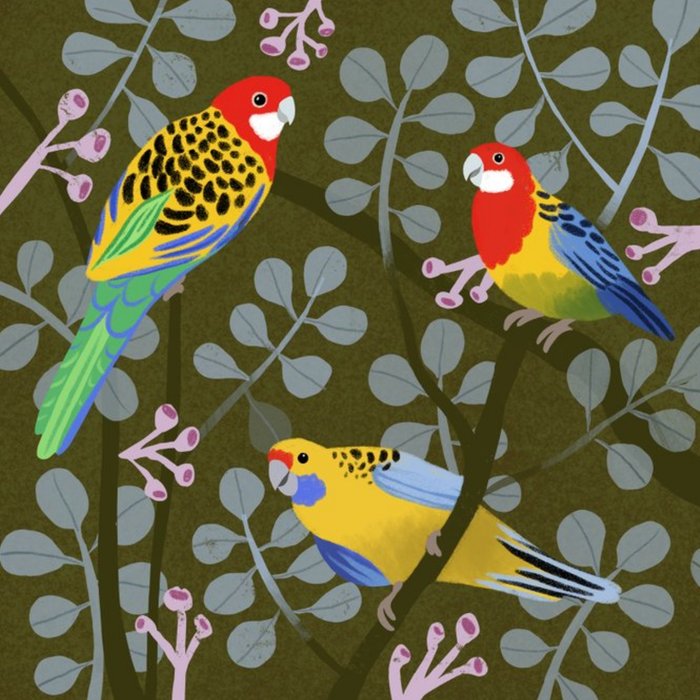 Cat MacInnes Illustration Birds Australia Just A Note Card | Moonpig