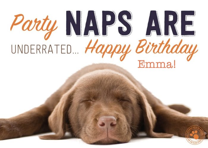Happy Birthday Party Naps Are Underrated Card | Moonpig