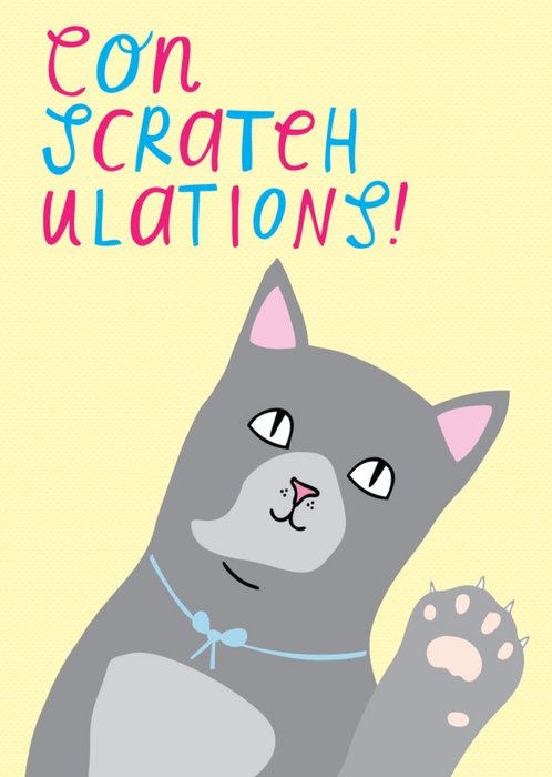 Cute Illustration Of Cat Congratulations Card | Moonpig