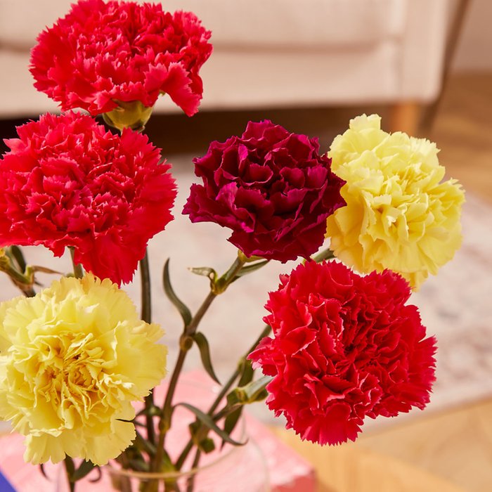 The Mixed Carnations Letterbox | Moonpig