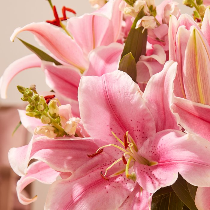 The British Grown Pink Lilies | Moonpig