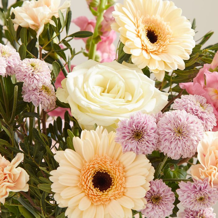 The Best Friend | Moonpig